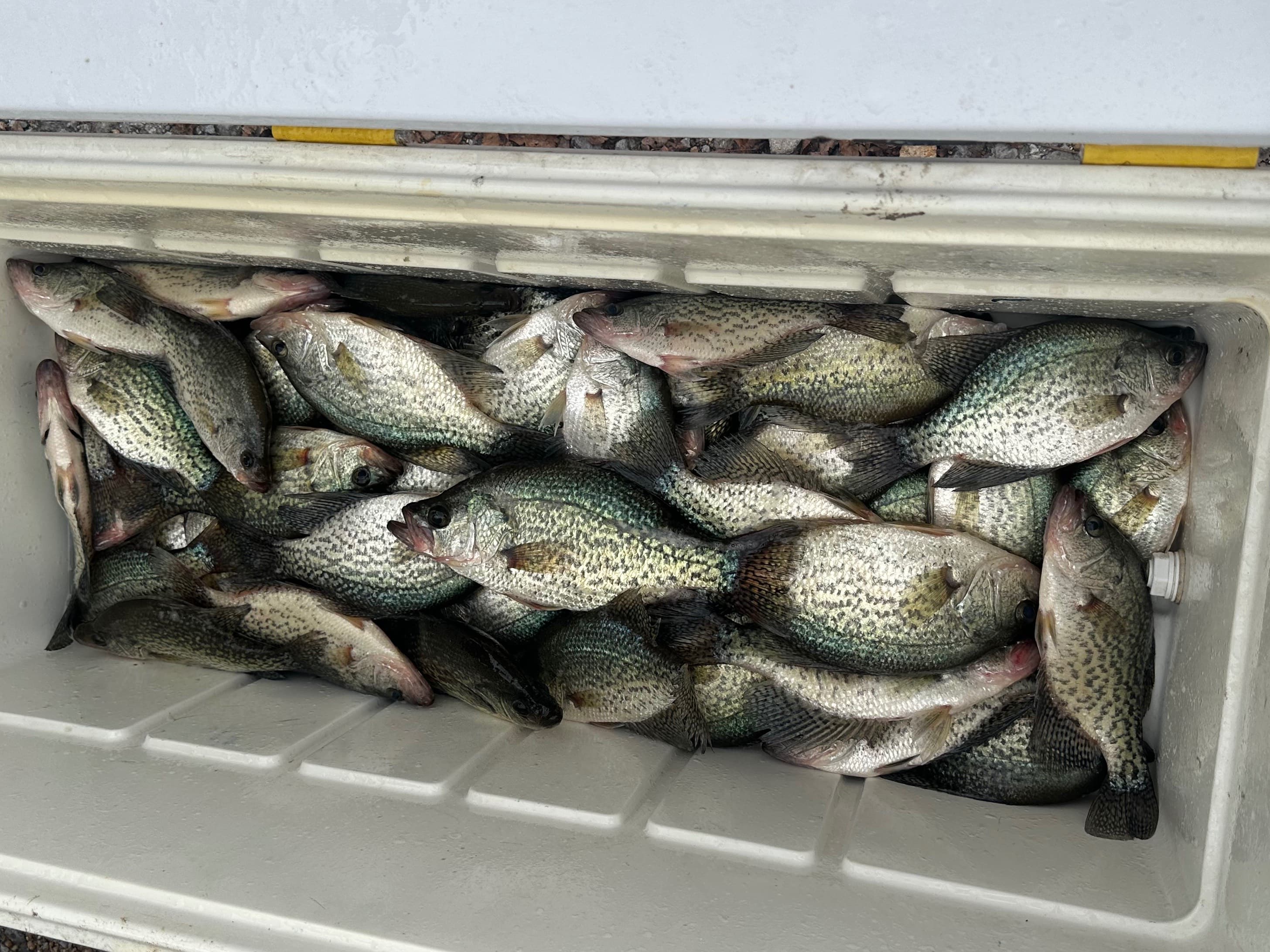Crappie Fishing Tip for Lake Guntersville by Alabama Elite Fishing ...