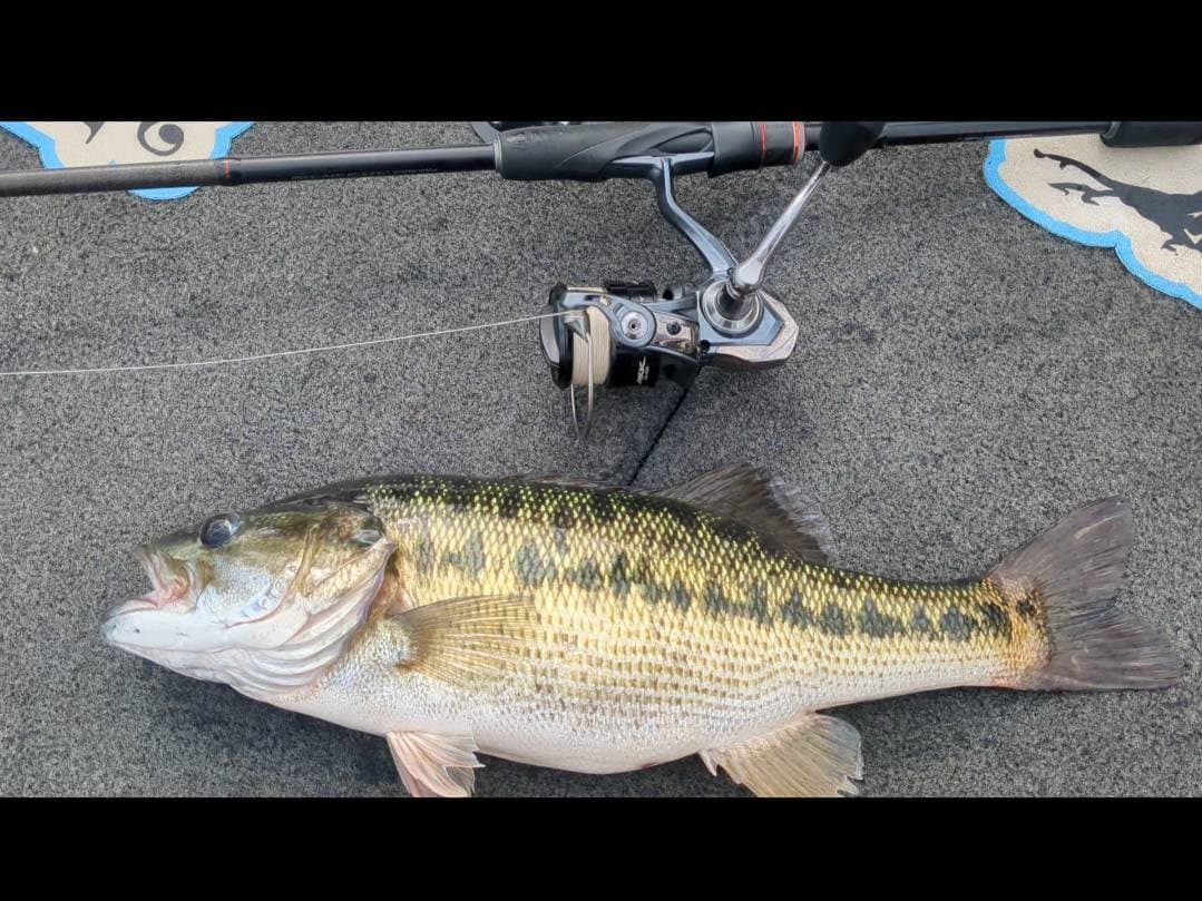 Bass Fishing Tip for Lake Lanier by Will Harkins